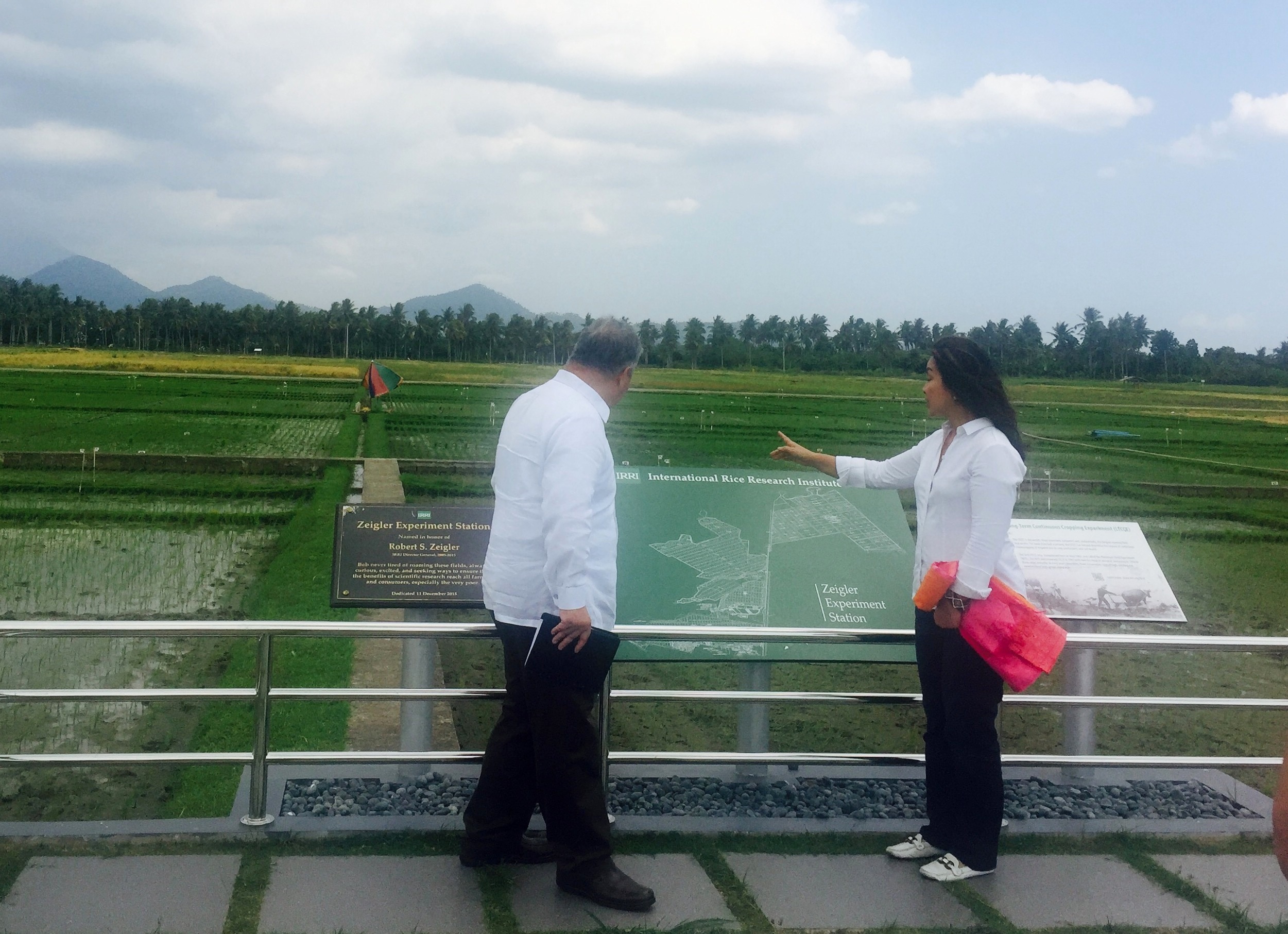Senator Loren Legarda at the IRRI headquarters in Los Baños, Laguna ...
