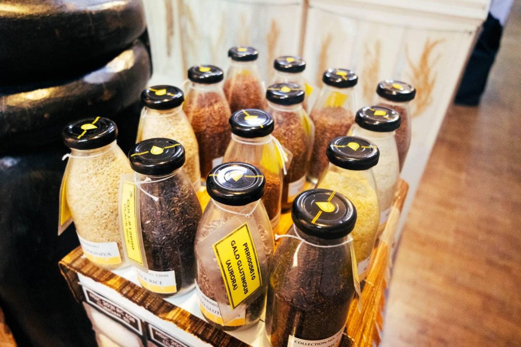 National Rice Awareness Month (NRAM) Exhibit - Loren Legarda