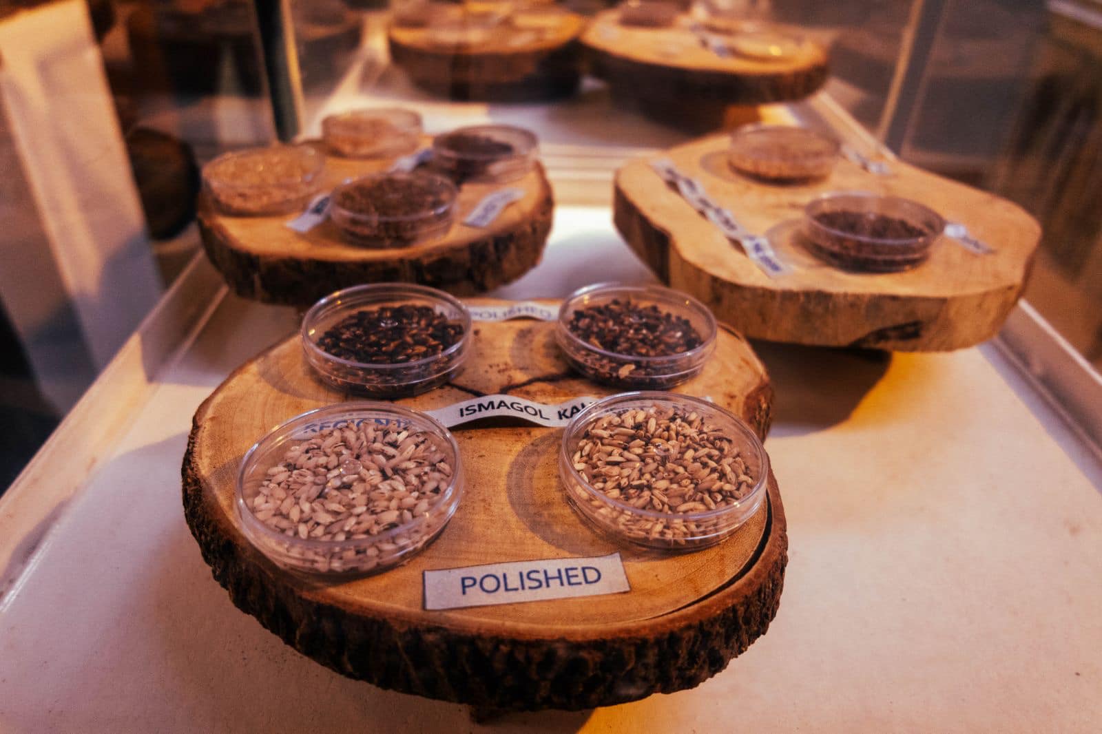 National Rice Awareness Month (NRAM) Exhibit - Loren Legarda