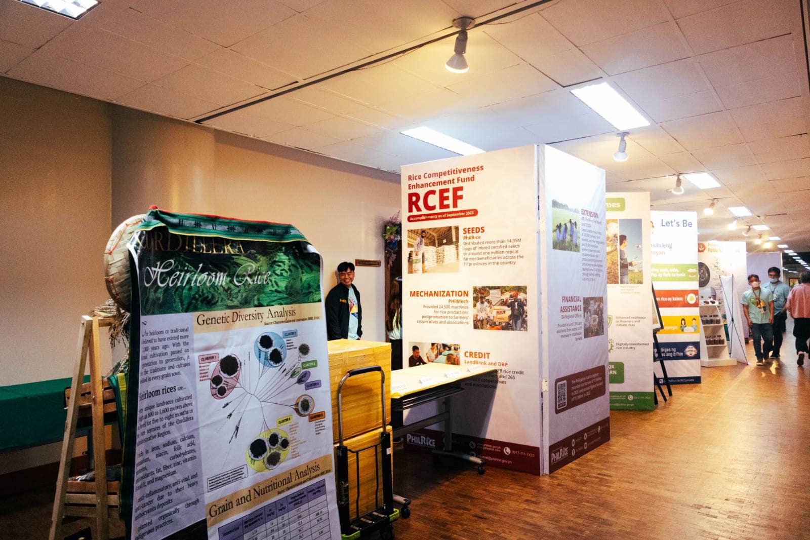 National Rice Awareness Month (NRAM) Exhibit - Loren Legarda